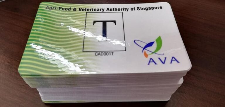 Sticker Shapes and Print Size range in MagicPrint Singapore